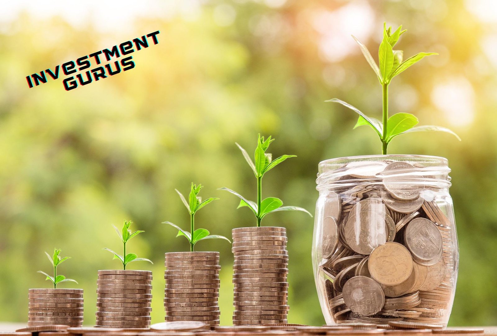 The Complete Guide to Financial Freedom for Newbies - INVESTMENT GURUZ